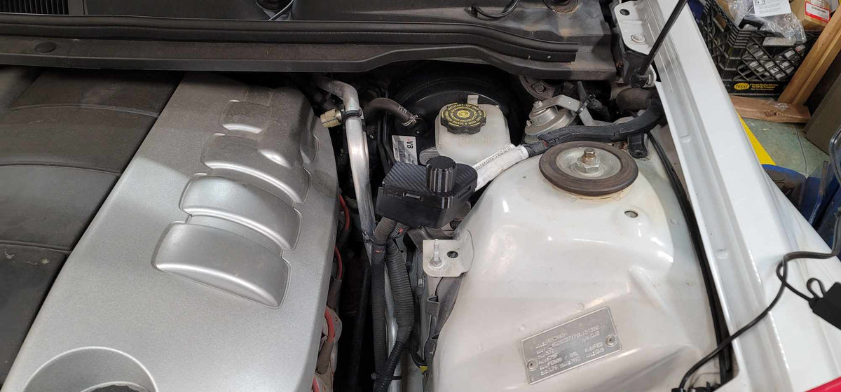 G8 Commodore Specialties Battery Terminal Cover